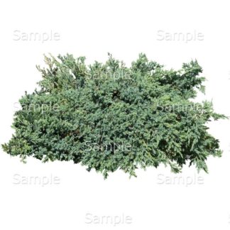 bonhachi_02 – sozaiya.com