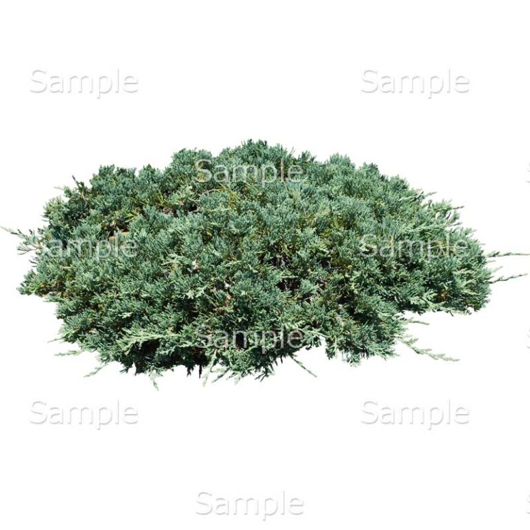 ガーデン – ページ 2 – sozaiya.com