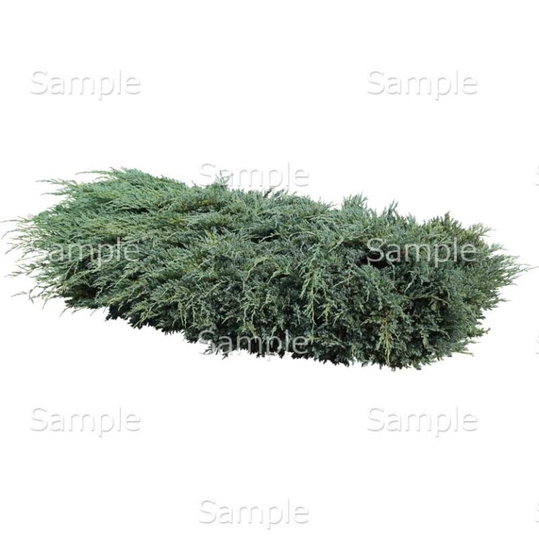 ガーデン – ページ 2 – sozaiya.com