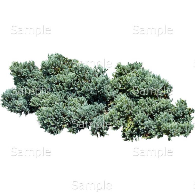 花园 – sozaiya.com