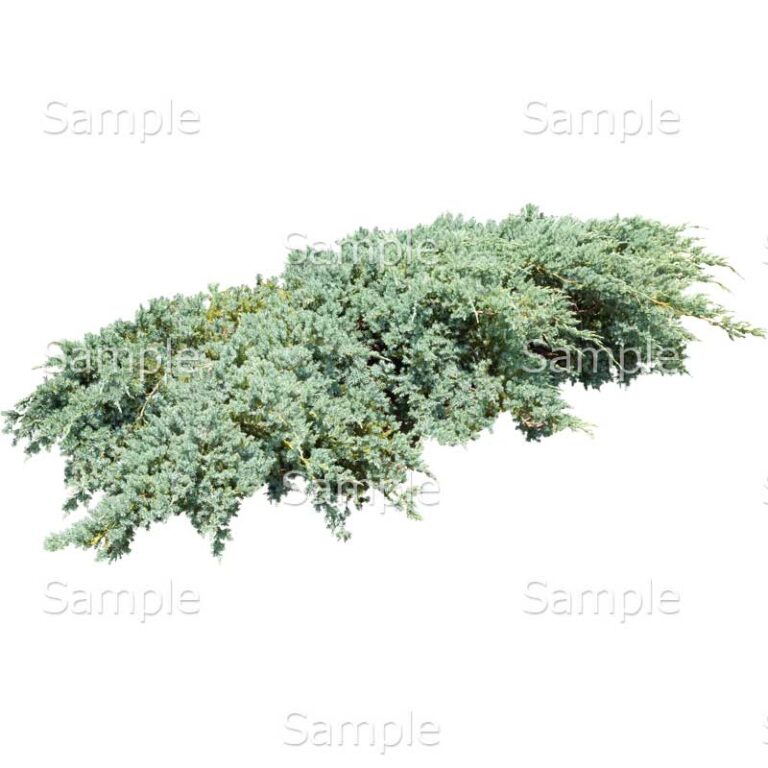 GA_170 – sozaiya.com