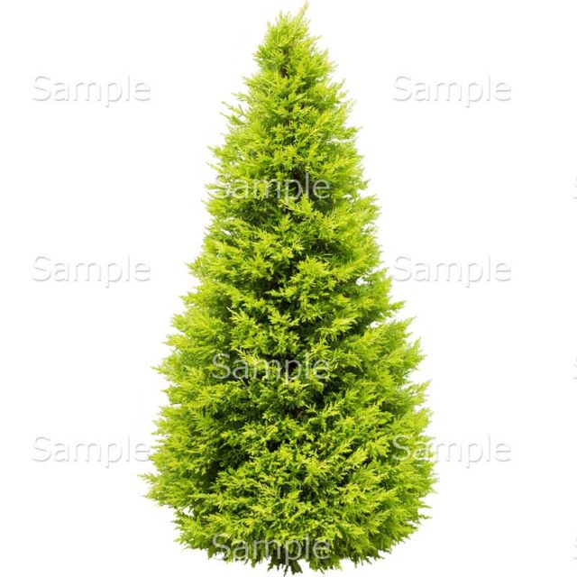 GA_308 – sozaiya.com