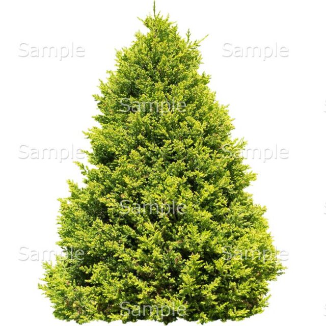 ガーデン – ページ 3 – sozaiya.com