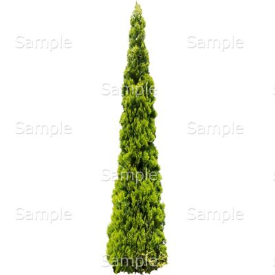 GA_311 – sozaiya.com