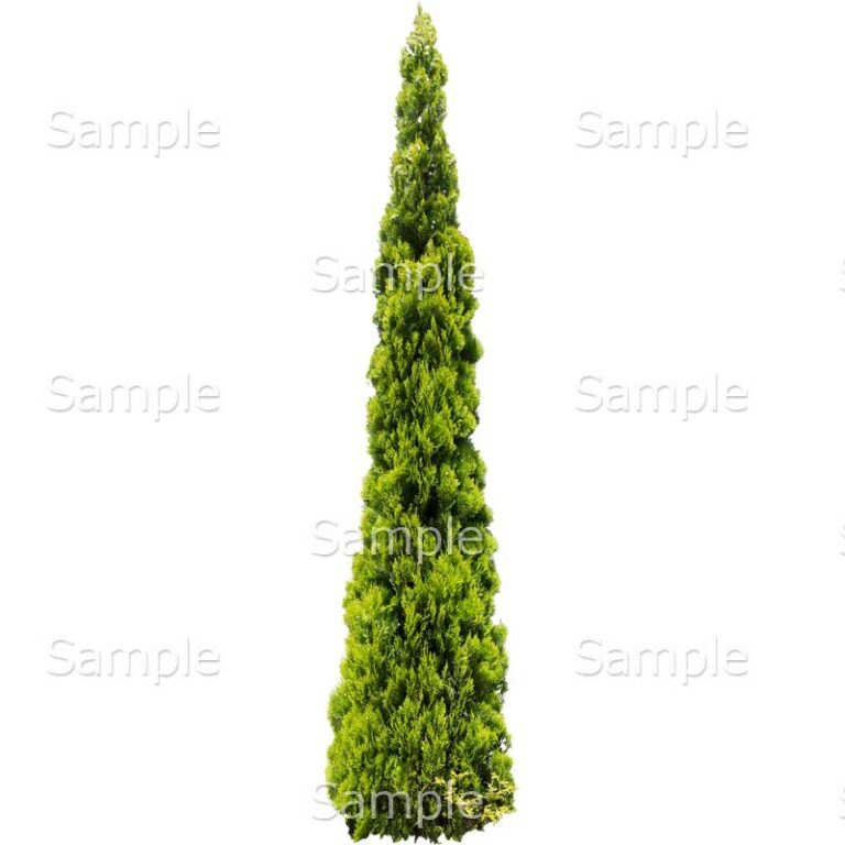 GA_311 – sozaiya.com