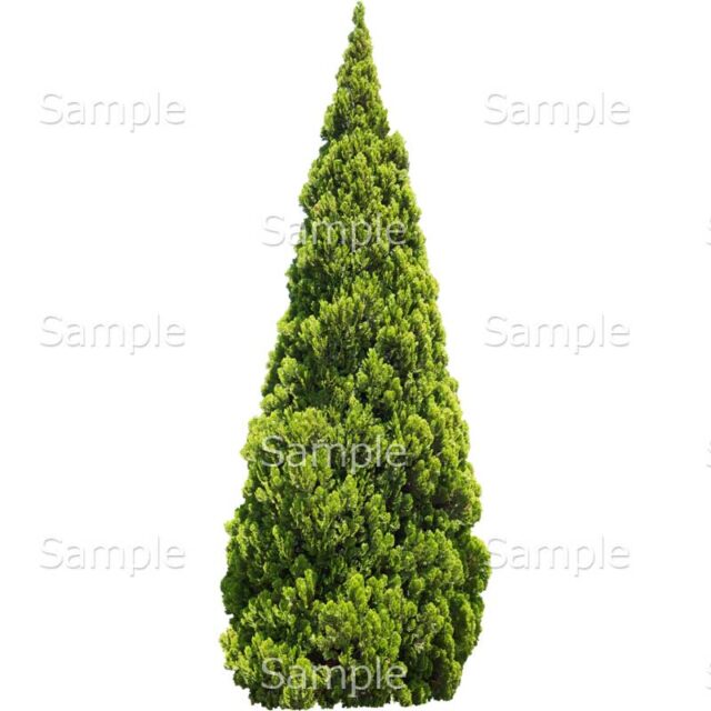 GA_157 – sozaiya.com