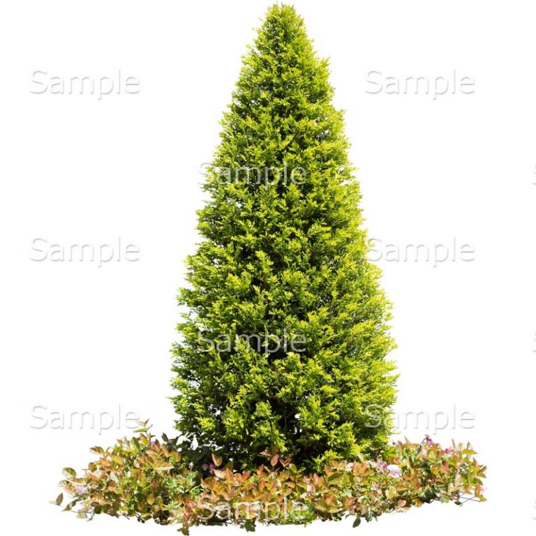 ガーデン – ページ 3 – sozaiya.com