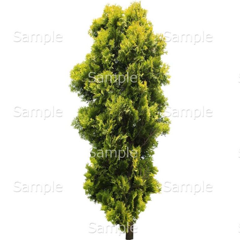 ガーデン – ページ 3 – sozaiya.com