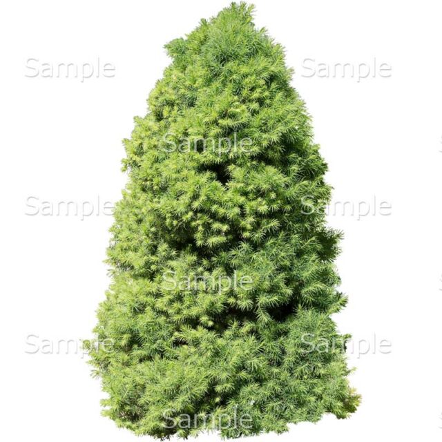 GA_319 – sozaiya.com