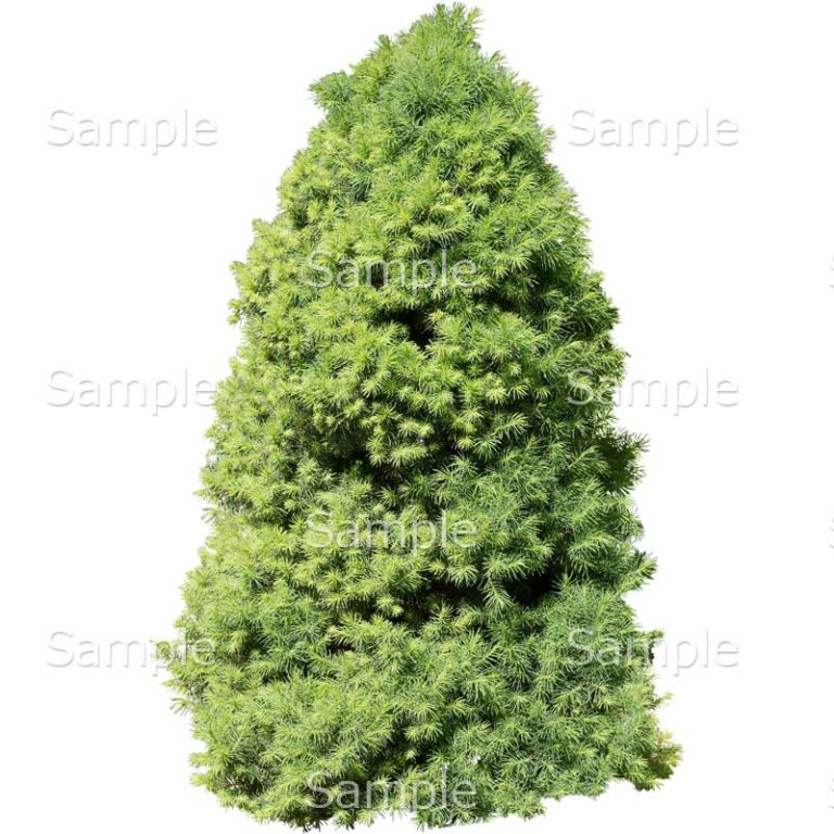 ガーデン – sozaiya.com