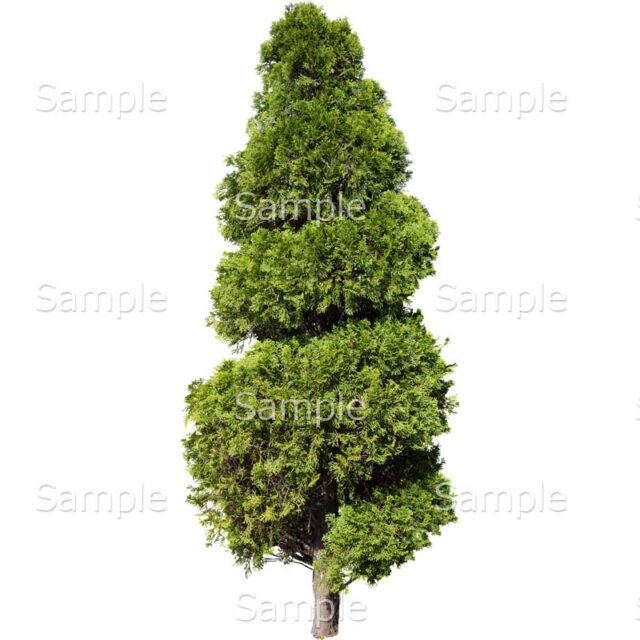 GA_201 – sozaiya.com