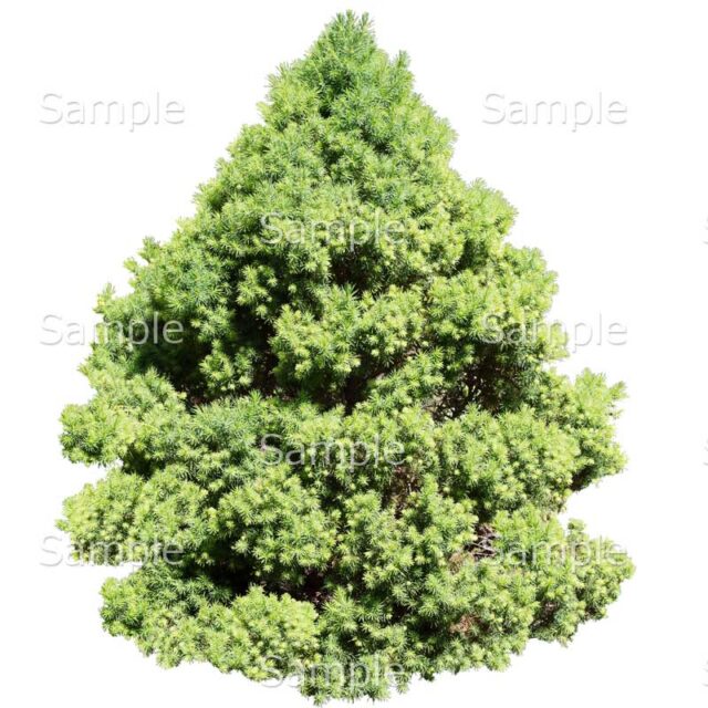 ガーデン – sozaiya.com