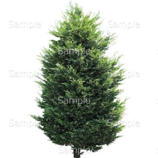 bonhachi_03 – sozaiya.com