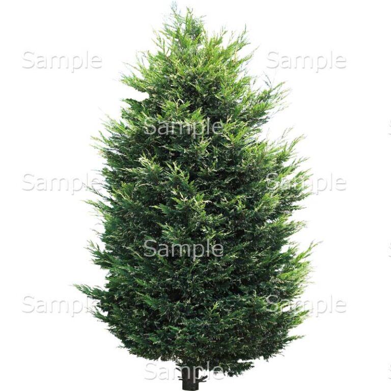 bonhachi_03 – sozaiya.com