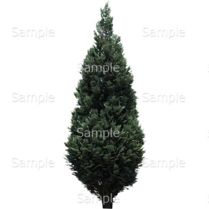 GA_323 – sozaiya.com