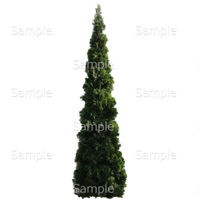 GA_324 – sozaiya.com