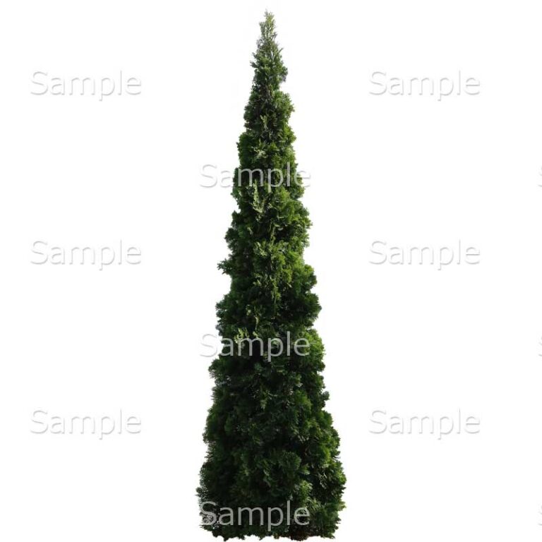 GA_324 – sozaiya.com