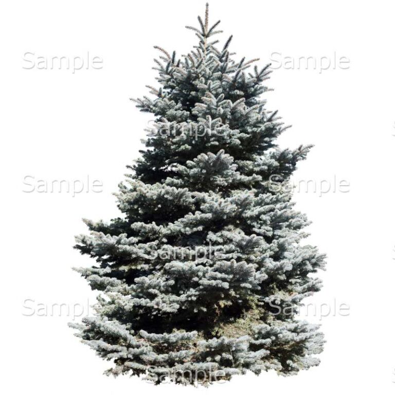 ガーデン – ページ 3 – sozaiya.com