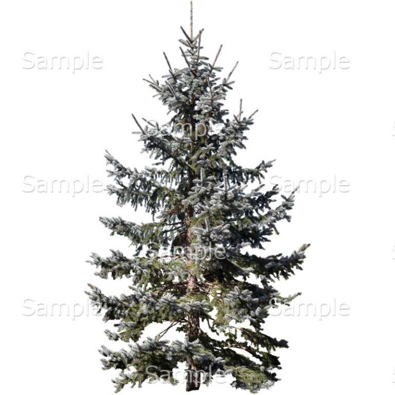 GA_023 – sozaiya.com