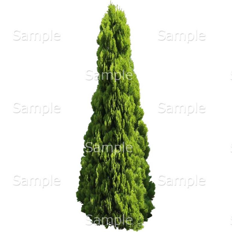 bonhachi_03 – sozaiya.com