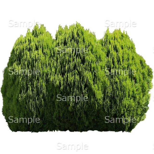 GA_333 – sozaiya.com