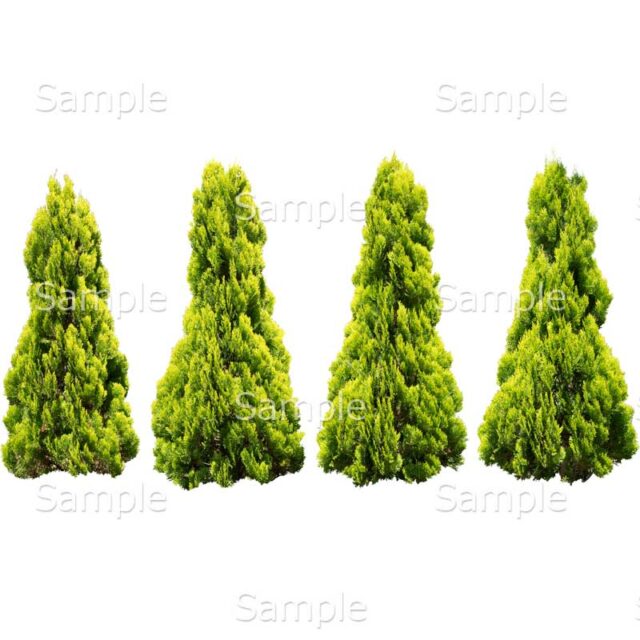 GA_334 – sozaiya.com