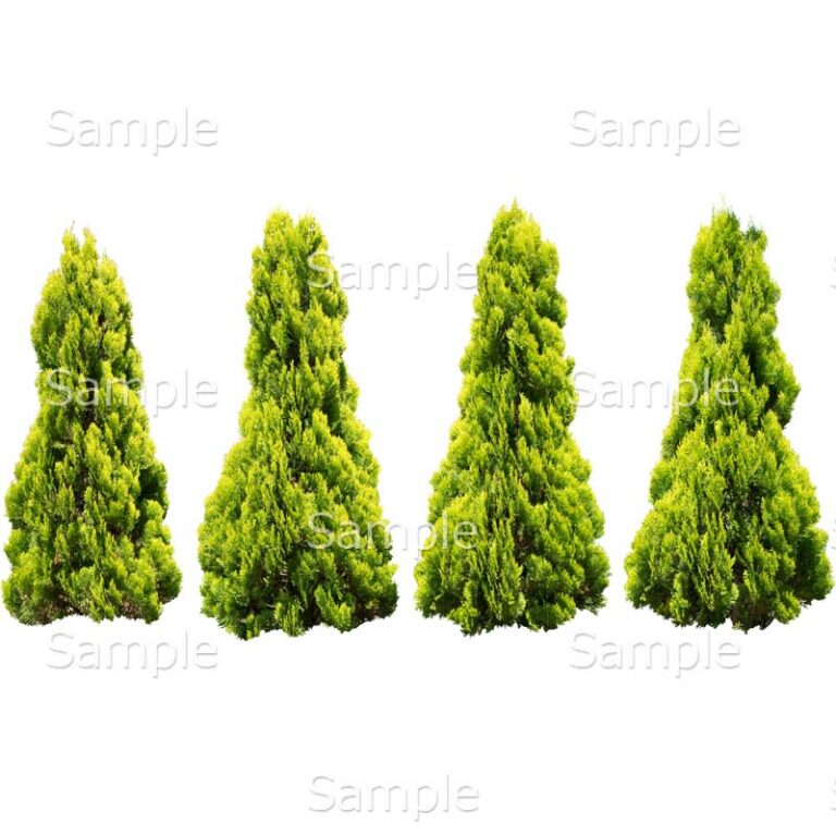 ガーデン – ページ 3 – sozaiya.com