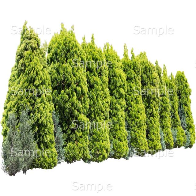 GA_201 – sozaiya.com