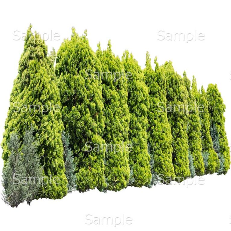 GA_335 – sozaiya.com