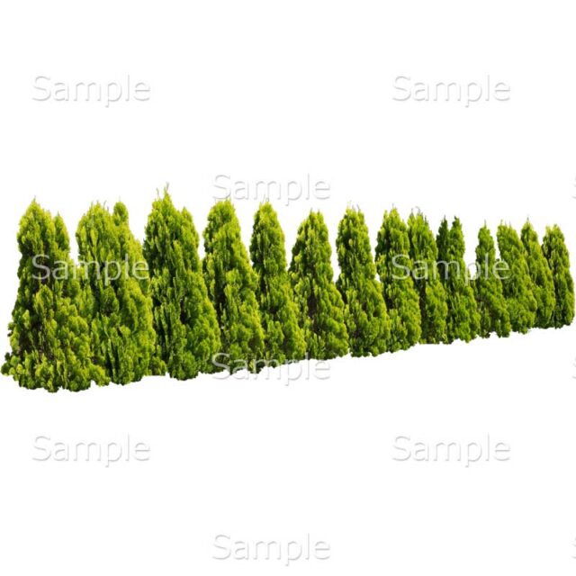 ガーデン – sozaiya.com