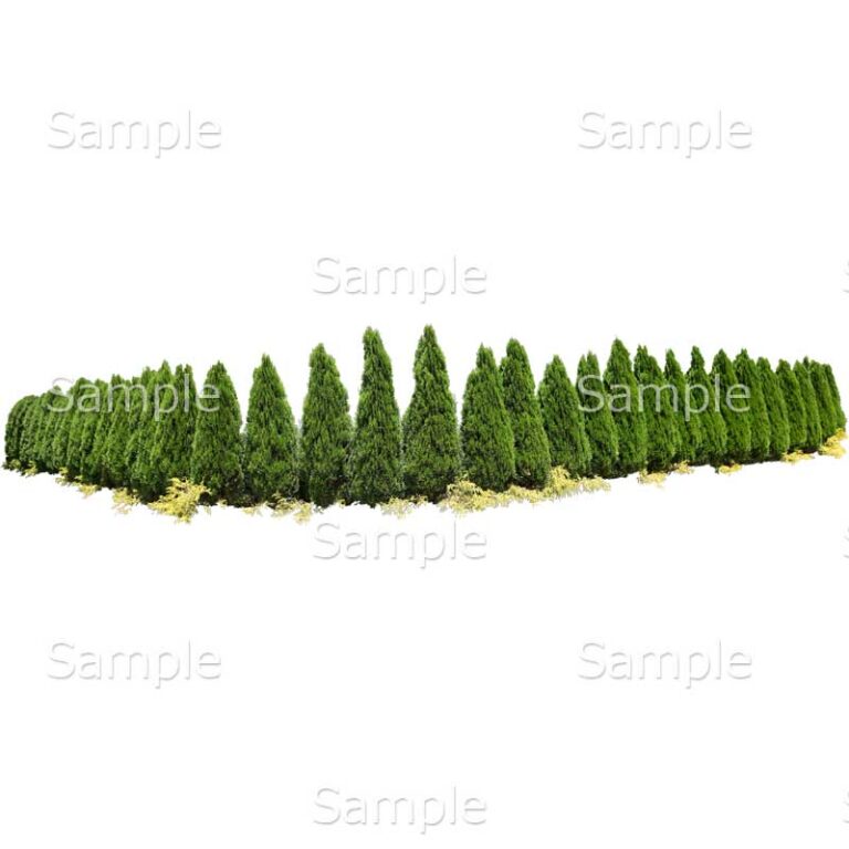 GA_337 – sozaiya.com