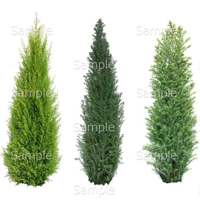 GA_338 – sozaiya.com