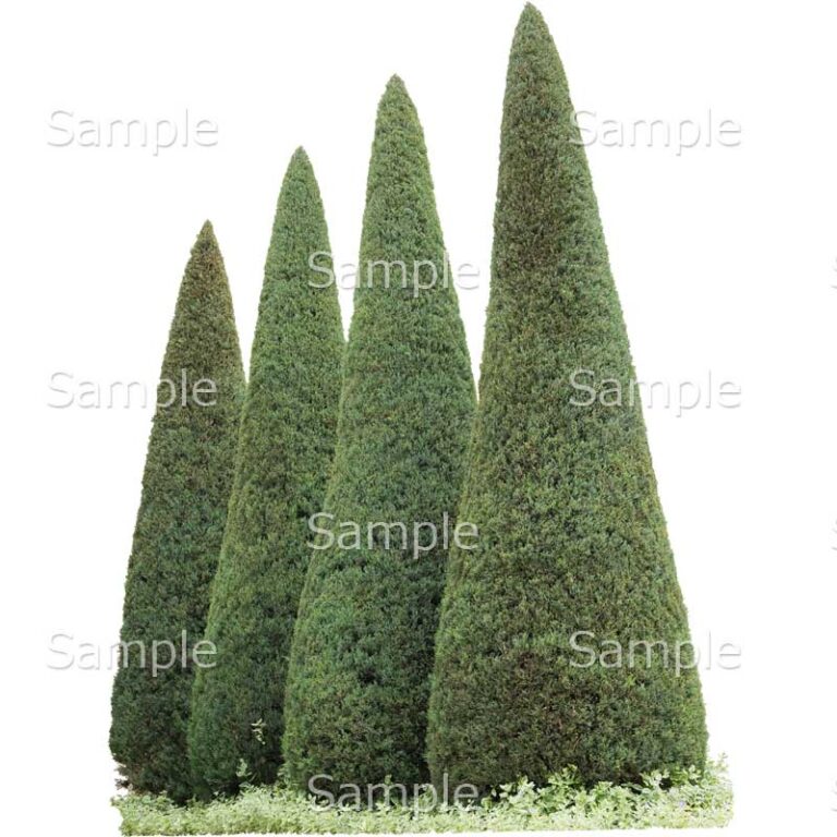 GA_341 – sozaiya.com