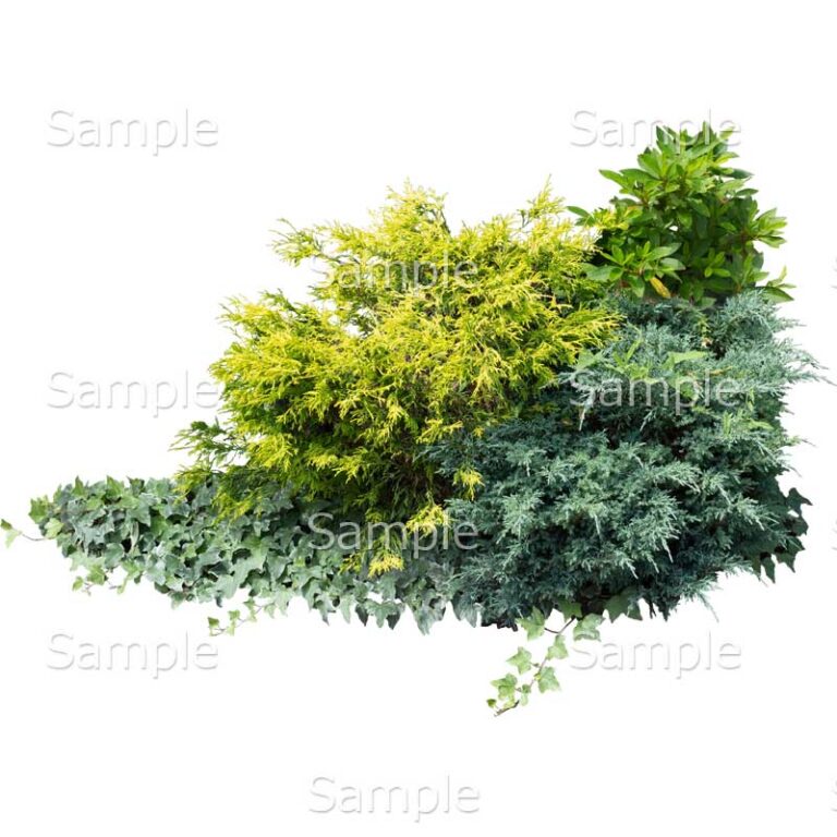 GA_344 – sozaiya.com