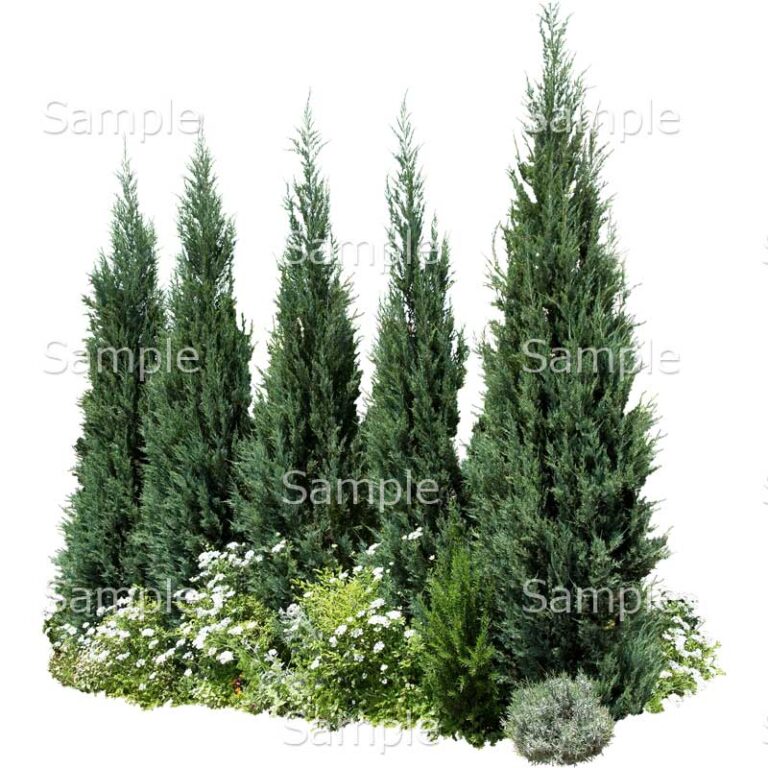 GA_347 – sozaiya.com