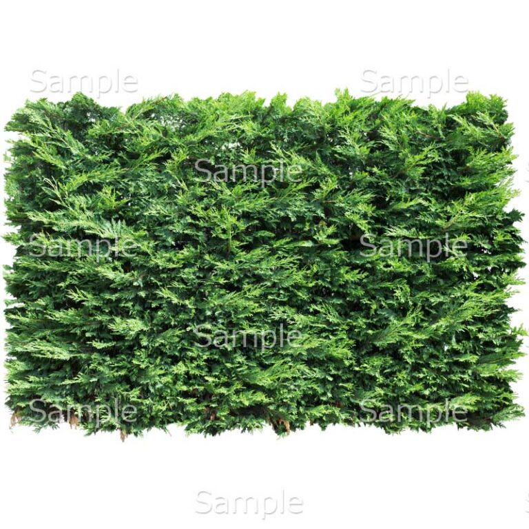 bonhachi_03 – sozaiya.com