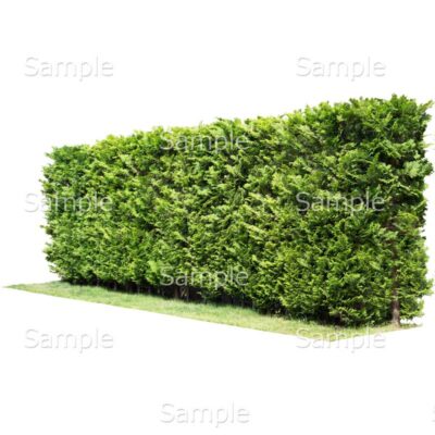 bonhachi_02 – sozaiya.com