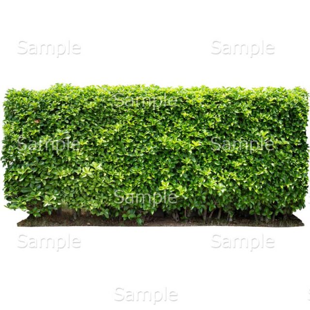 GA_201 – sozaiya.com