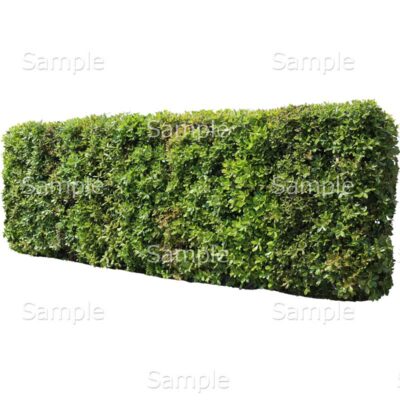 GA_352 – sozaiya.com