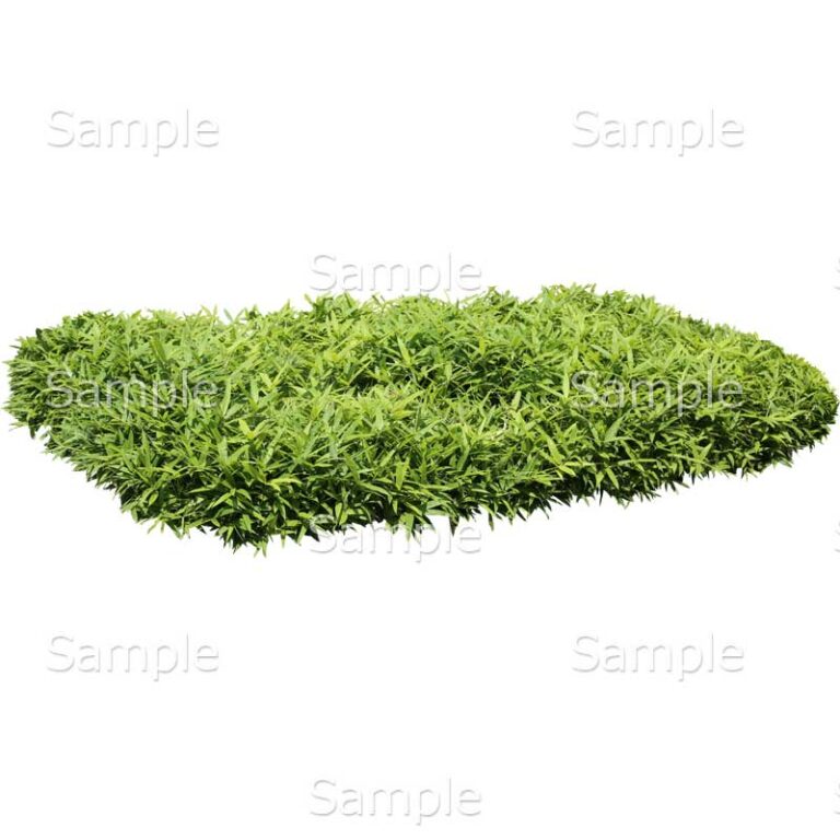 kokedama04 – sozaiya.com