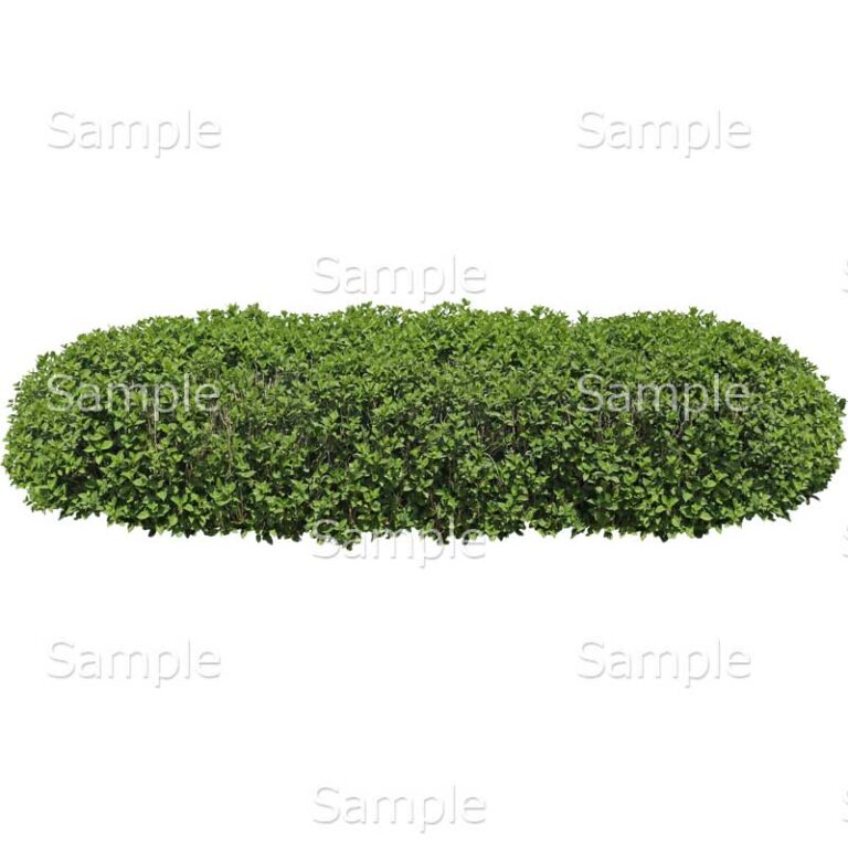 bonhachi_03 – sozaiya.com