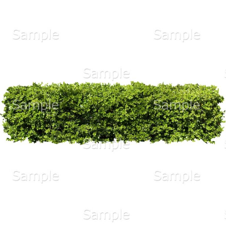 GA_355 – sozaiya.com