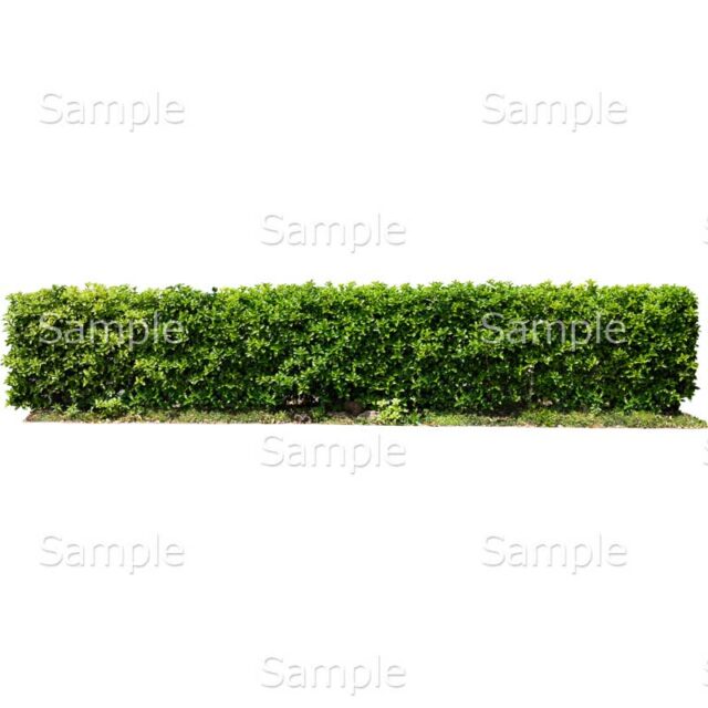 GA_157 – sozaiya.com