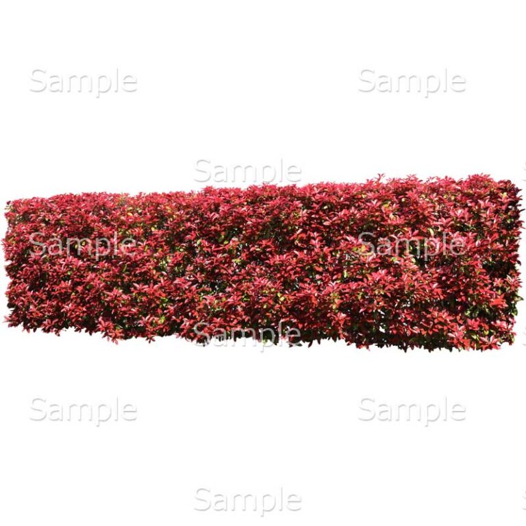 GA_360 – sozaiya.com