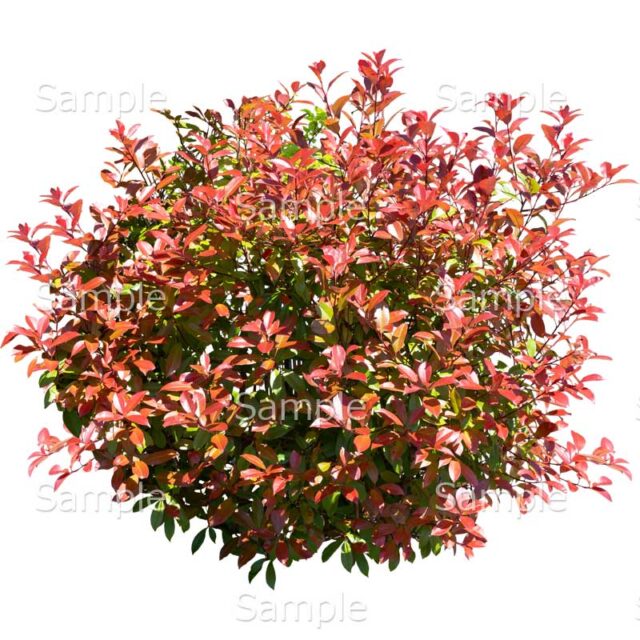 GA_361 – sozaiya.com