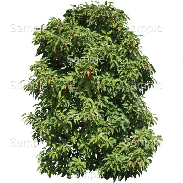 bonhachi_03 – sozaiya.com