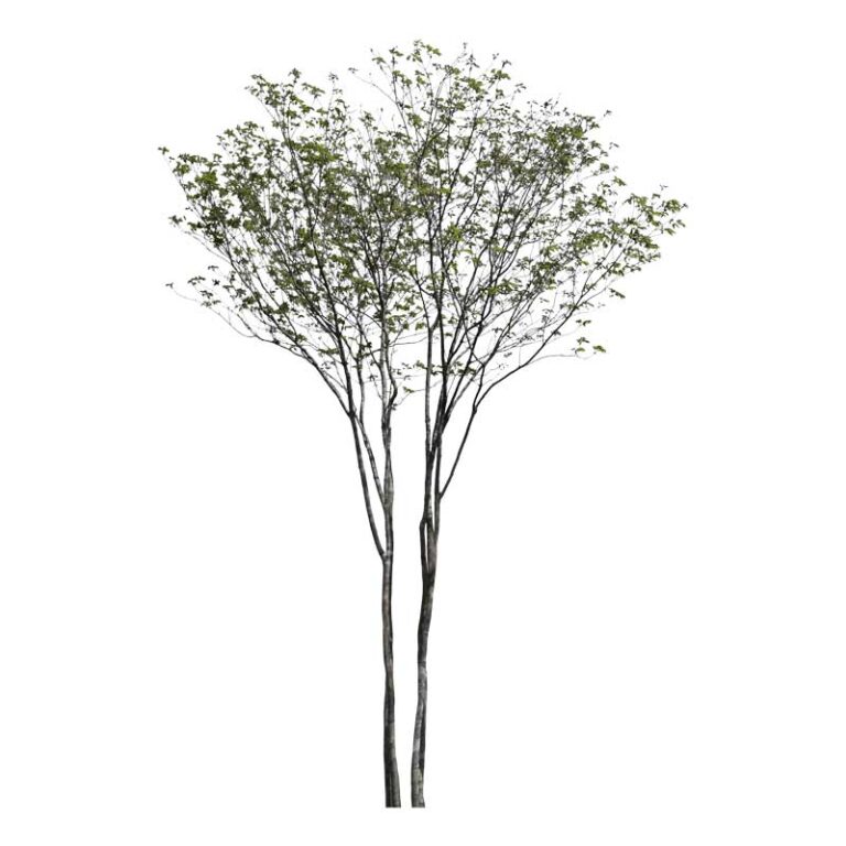 T3_001 – sozaiya.com