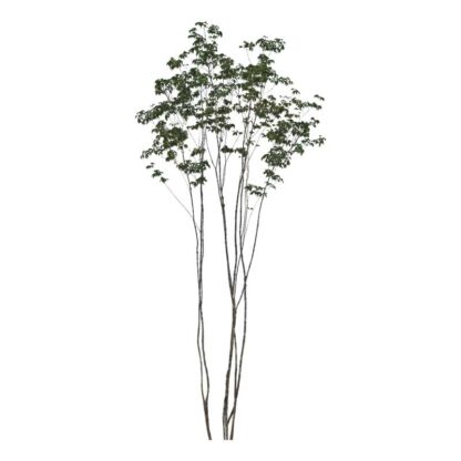 T3_002 – sozaiya.com