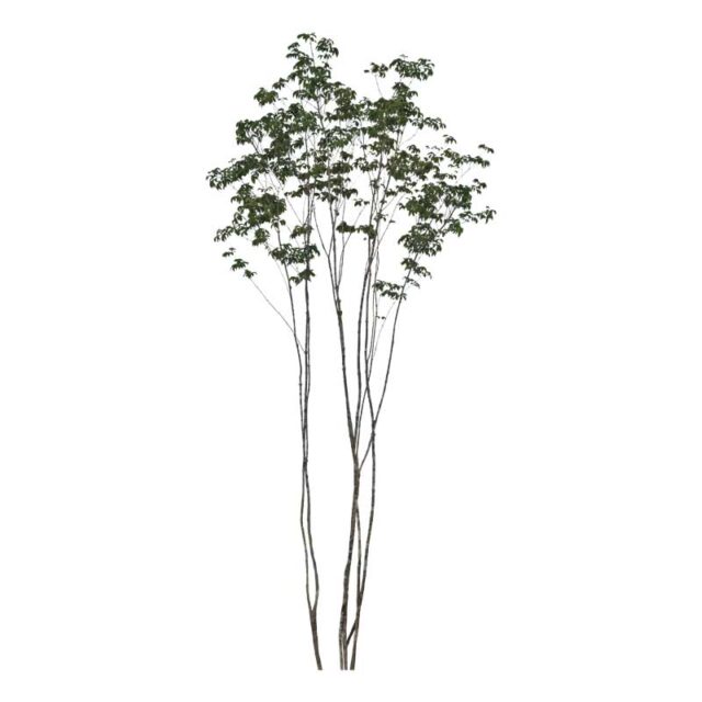 T3_002 – sozaiya.com