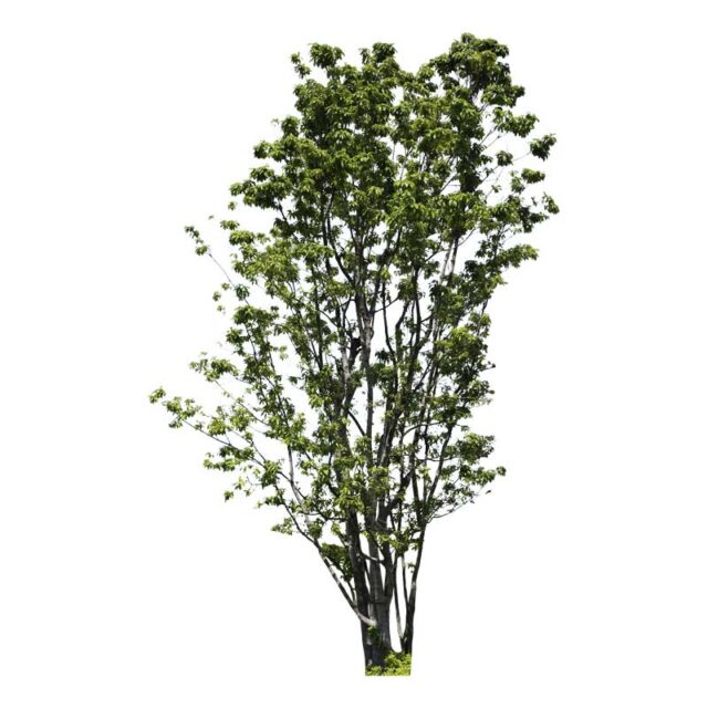 T3_026 – sozaiya.com